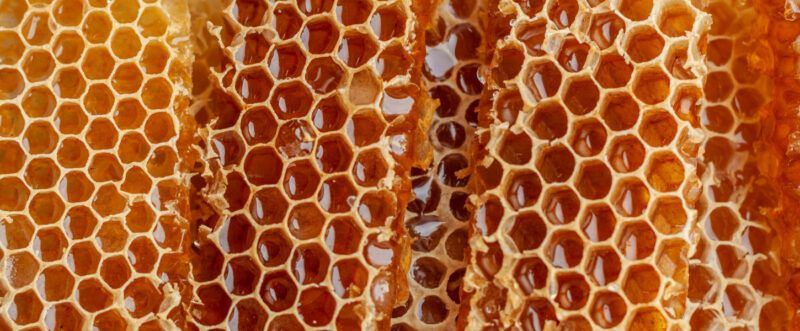 Zementhonig und Wetterlaunen - Obst+Wein