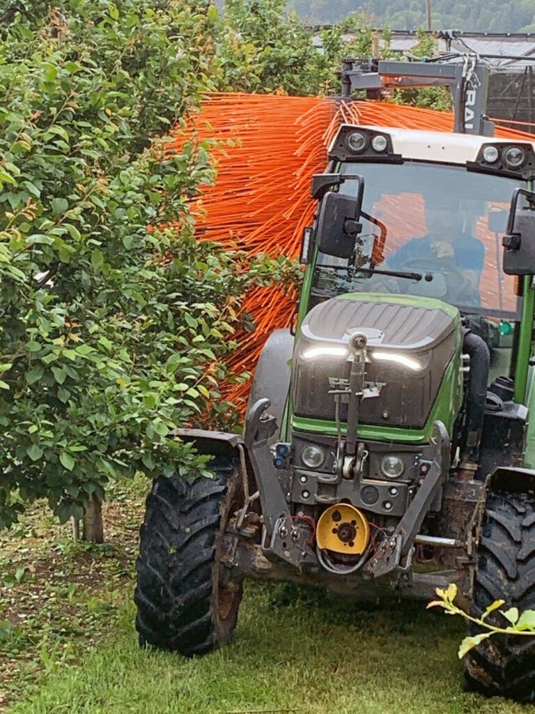 Ericius 3000: Mechanische Fruchtausdünnung in den Zwetschgen - Obst+Wein